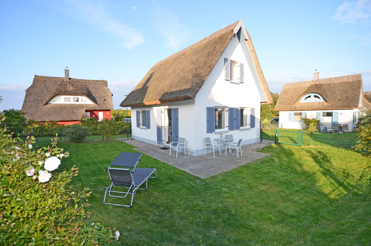 Küstenschwalbe - Touristik Paradies Rügen