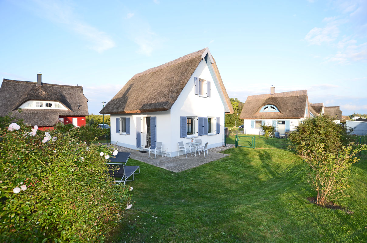Küstenschwalbe - Touristik Paradies Rügen